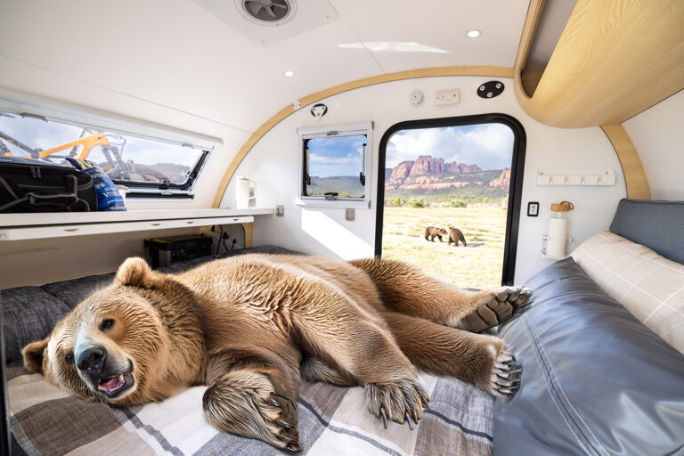 Is Bean Bear Proof? | Bean Trailer